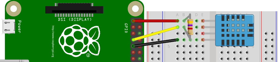 Pflanze1 Dht11 Mit Python Und Dem Raspberry Pi Programmieren Coding World